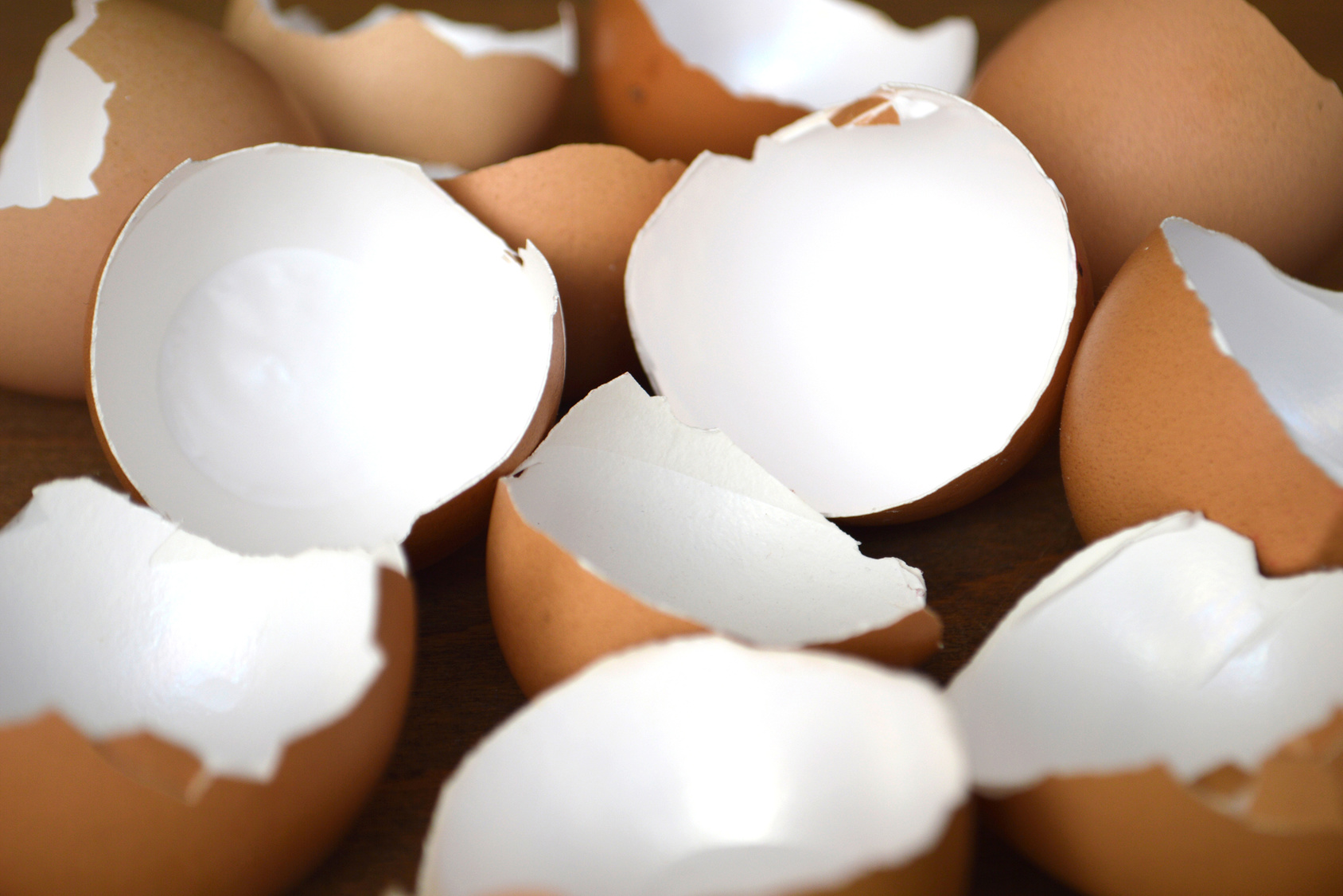 Alle Artikel zum Thema "Forschung" auf - Haustec