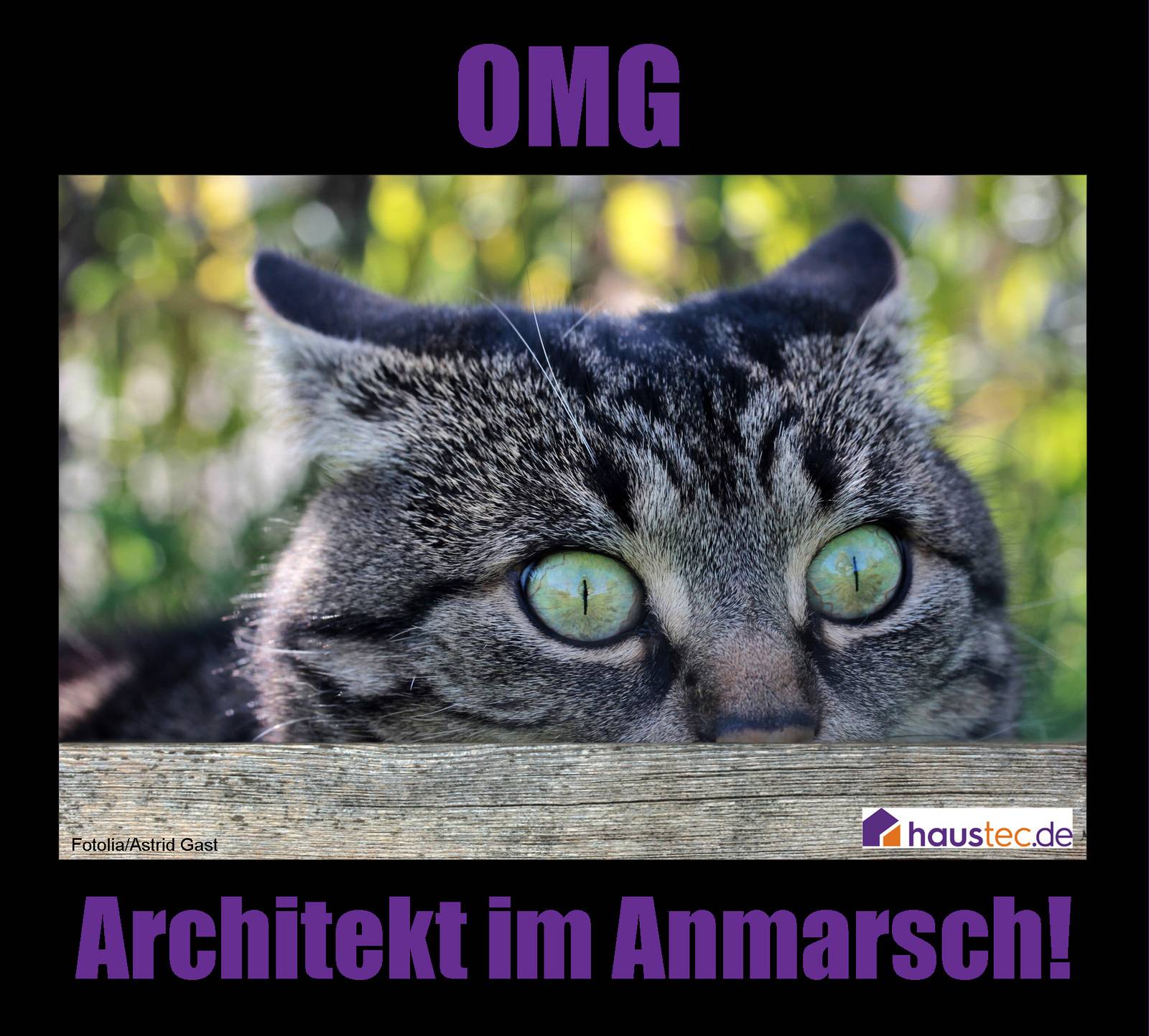 Was Handwerker wirklich denken aber keiner sagt: Die besten Memes | Haustec