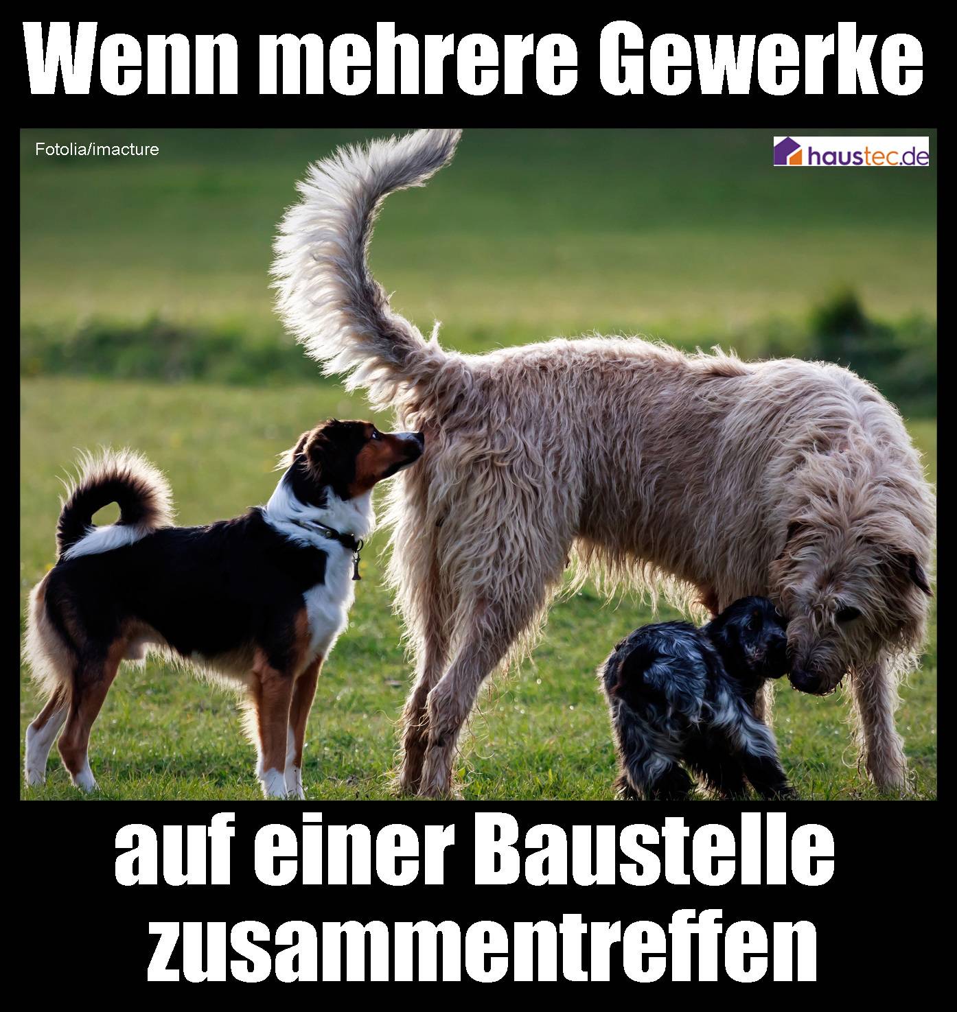 Was Handwerker wirklich denken aber keiner sagt: Die besten Memes | Haustec