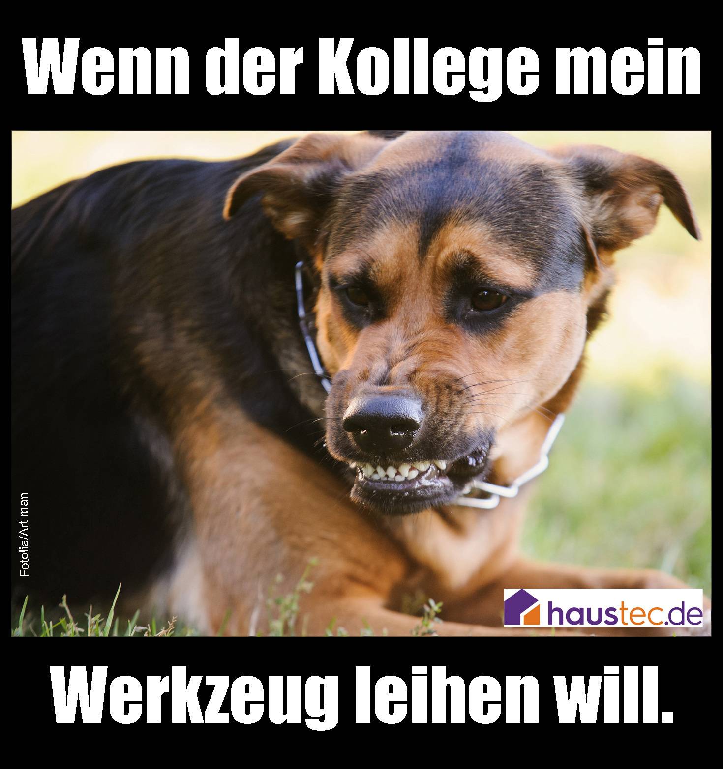 Was Handwerker wirklich denken aber keiner sagt: Die besten Memes | Haustec