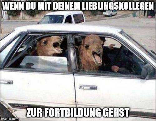 Was Handwerker wirklich denken aber keiner sagt: Die besten Memes | Haustec