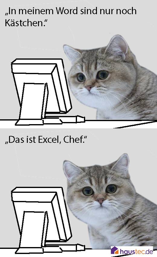 25 Memes: Das ist so typisch Chef... | Haustec