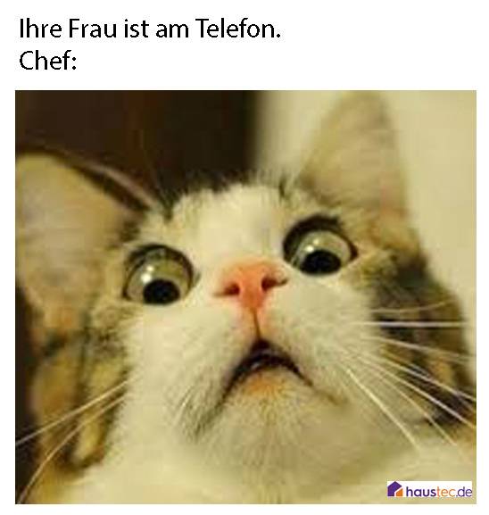 25 Memes: Das ist so typisch Chef... | Haustec