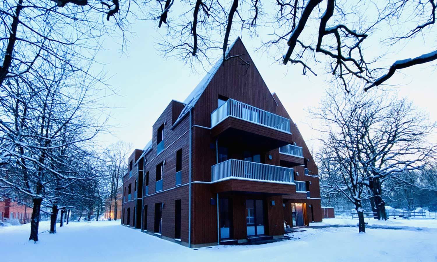 Stiftungsdorf Ellener Hof: Ein Stadtteil (fast) ganz aus Holz | Haustec
