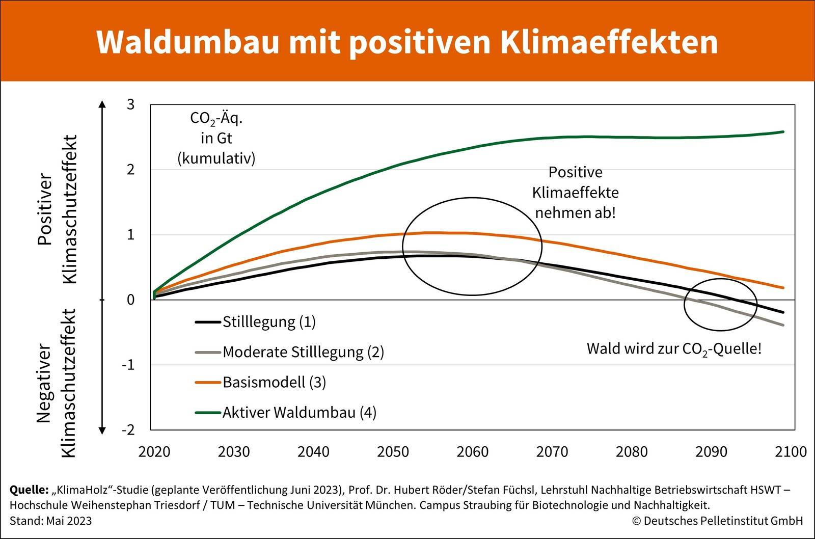 Wald der Zukunft: Wertschöpfung und Klimaschutz im Einklang | Haustec