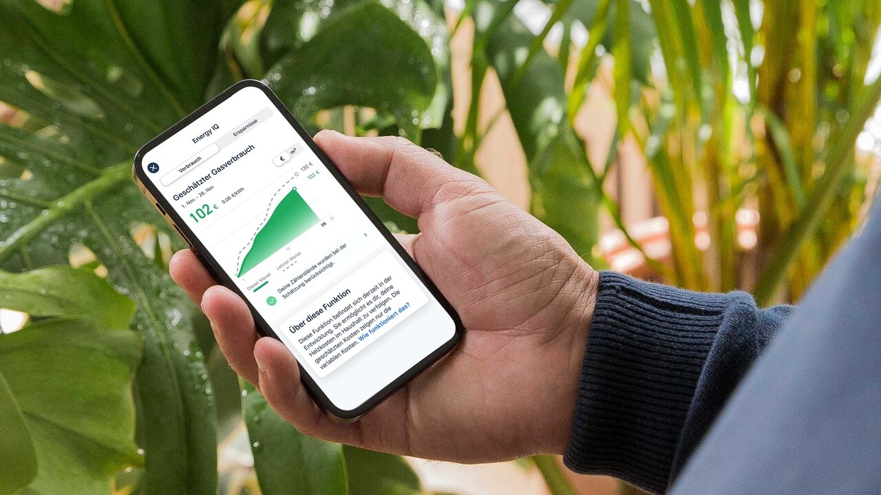 Energy IQ: Heizkosten nach Wunsch einstellen | Haustec