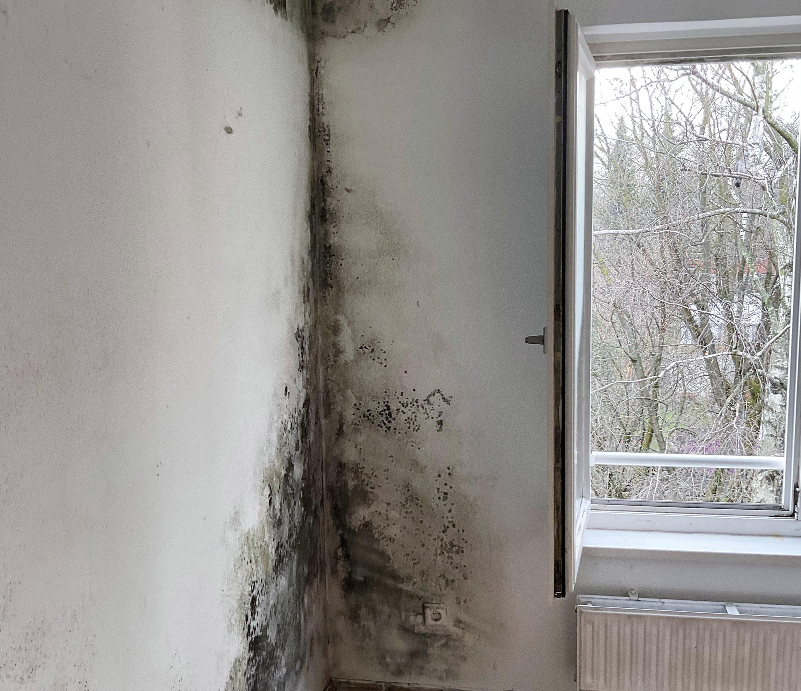 Schimmel vermeiden mit Fensterfalzlüftern | Haustec