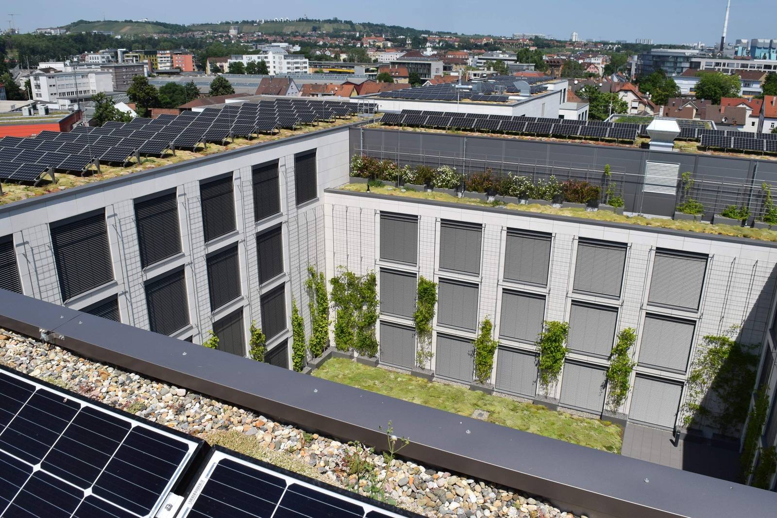 GIH und BuGG kooperieren: Energieberatung und Gebäudegrün vereint | Haustec